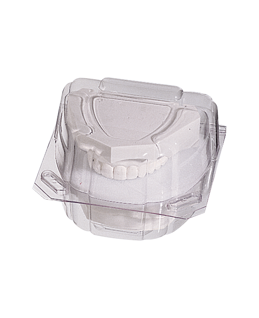 Model Box – DB Lab Supplies