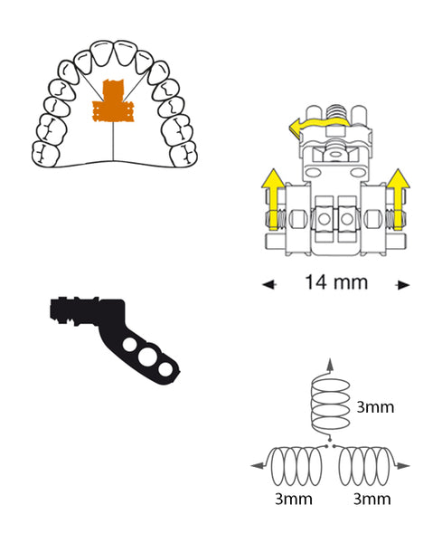 Three Directional Screw Anatomical – DB Lab Supplies